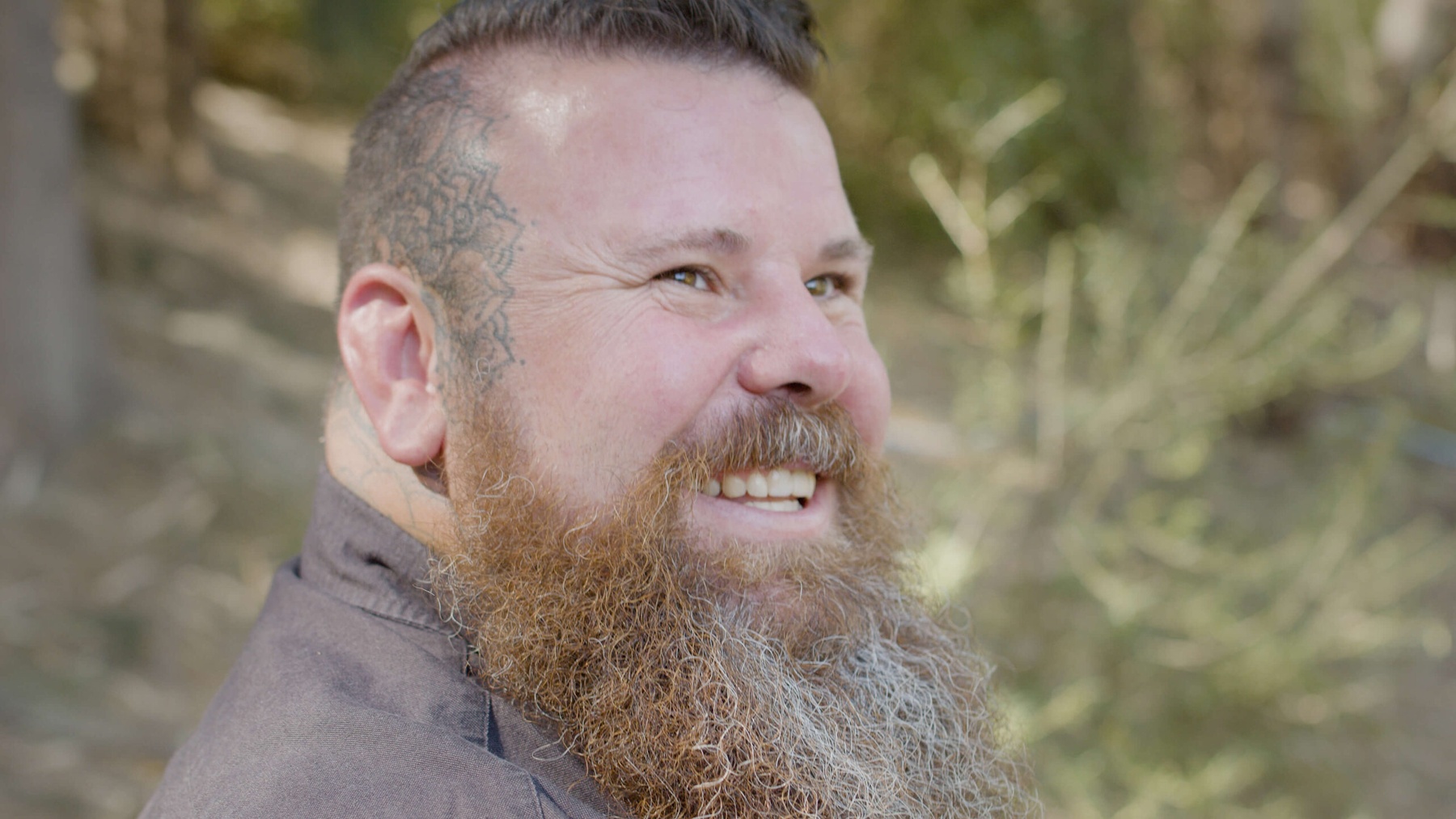 Reflections of a Breathing Space—First Nations Public Art — 116 Rokeby