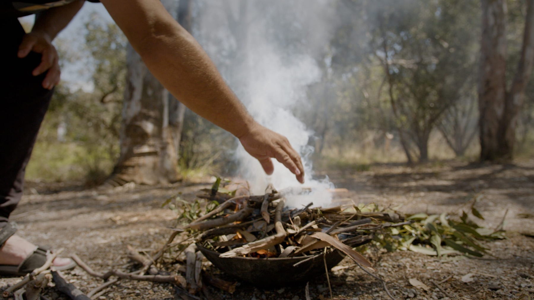Reflections of a Breathing Space—First Nations Public Art — 116 Rokeby